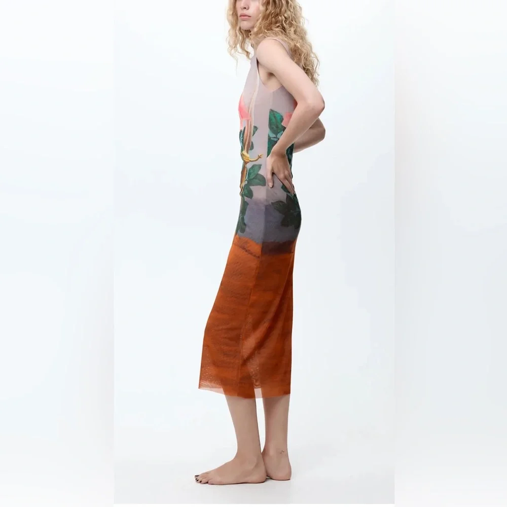 Zara | Dresses | Zara X Rene Magritte Tulle Dress Nwt | Poshmark